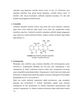 Biosintesis antibiotik | PDF