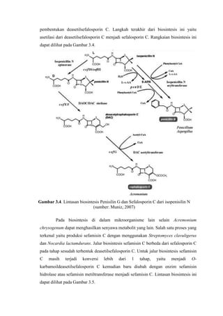 Biosintesis antibiotik | PDF