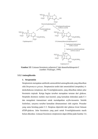 Biosintesis antibiotik | PDF