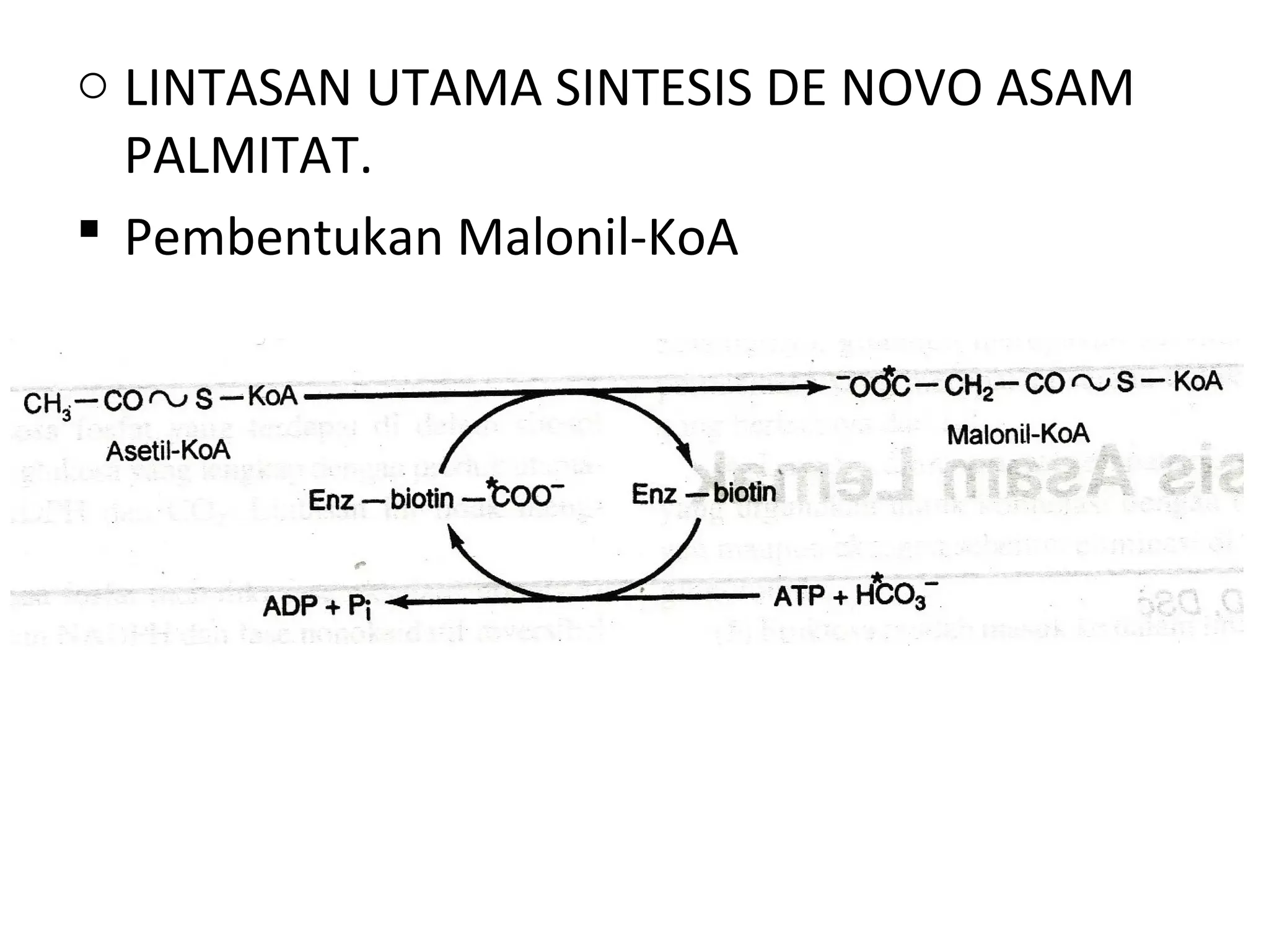 Biosintesis asam lemak | PPT