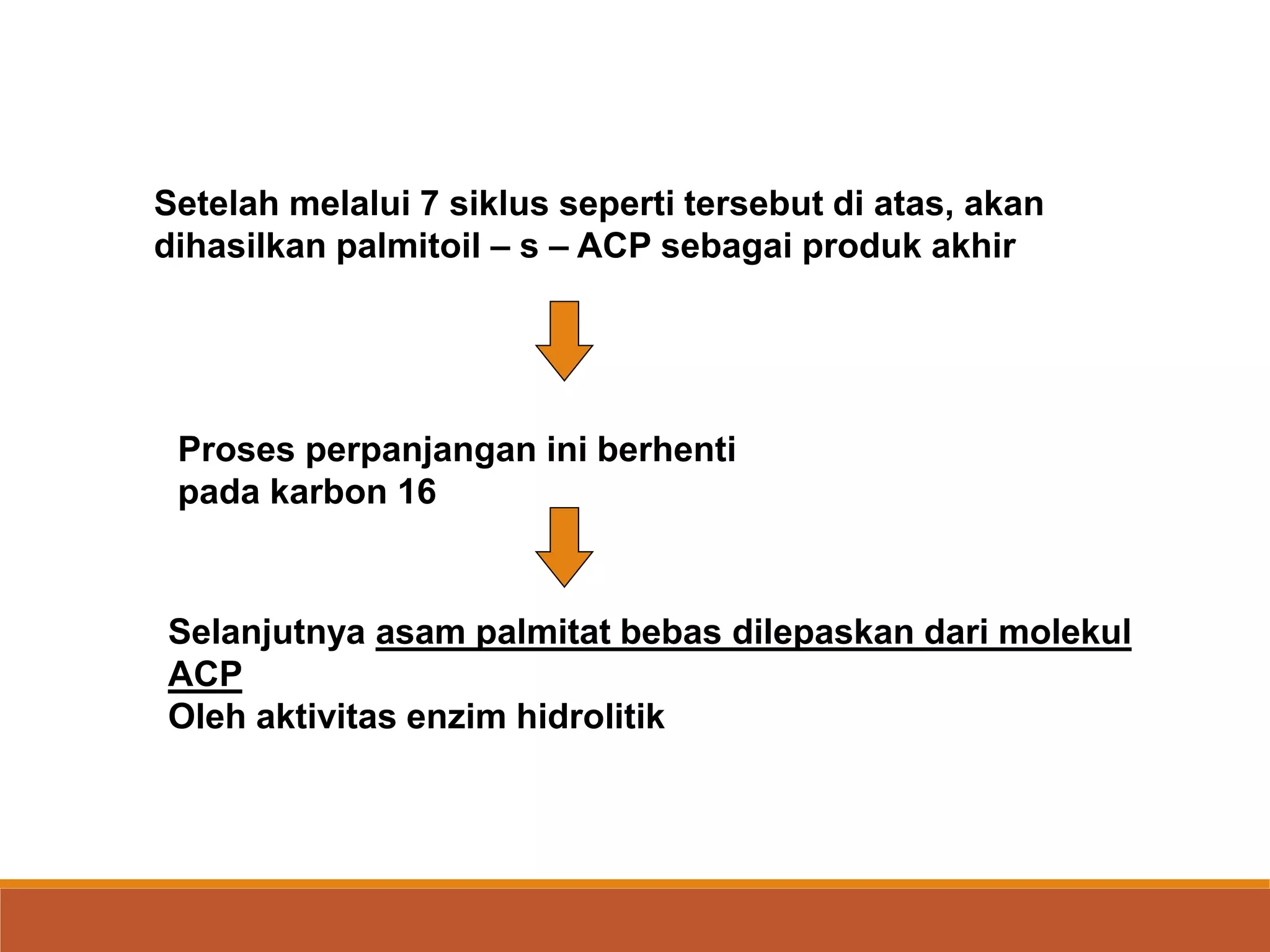 Biosintesis Asam Lemak.pptx
