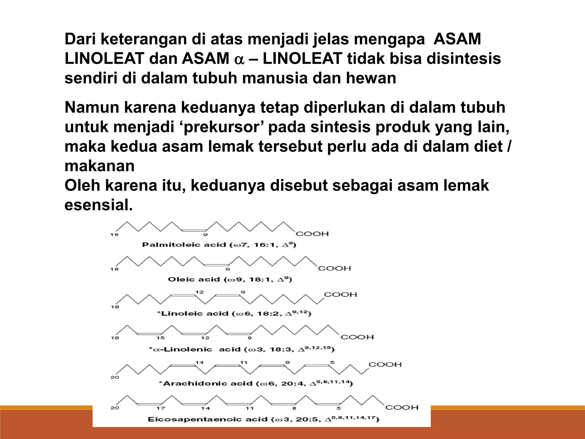 Biosintesis Asam Lemak.pptx