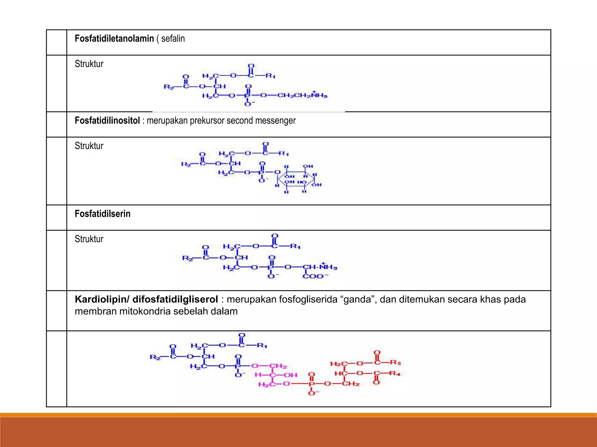 Biosintesis Asam Lemak.pptx