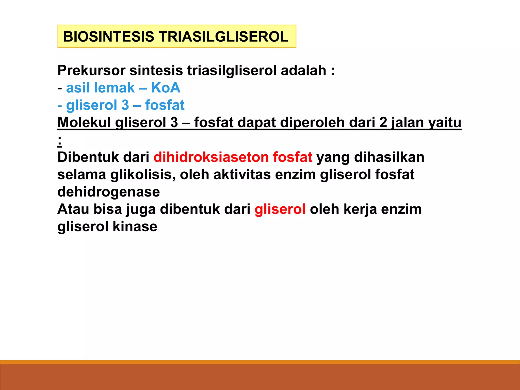 Biosintesis Asam Lemak.pptx