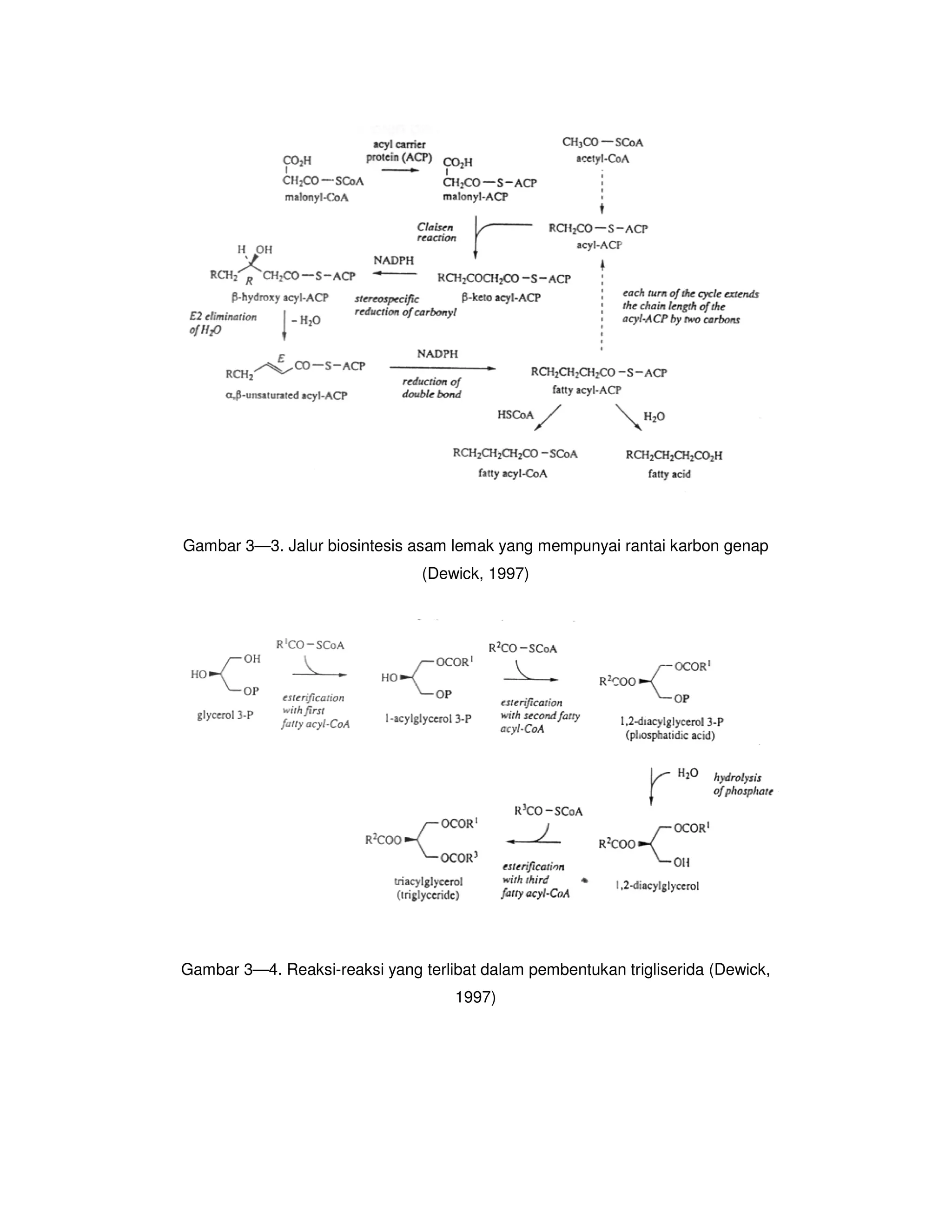 Biosintesis dan metabolisme produk alami | PDF