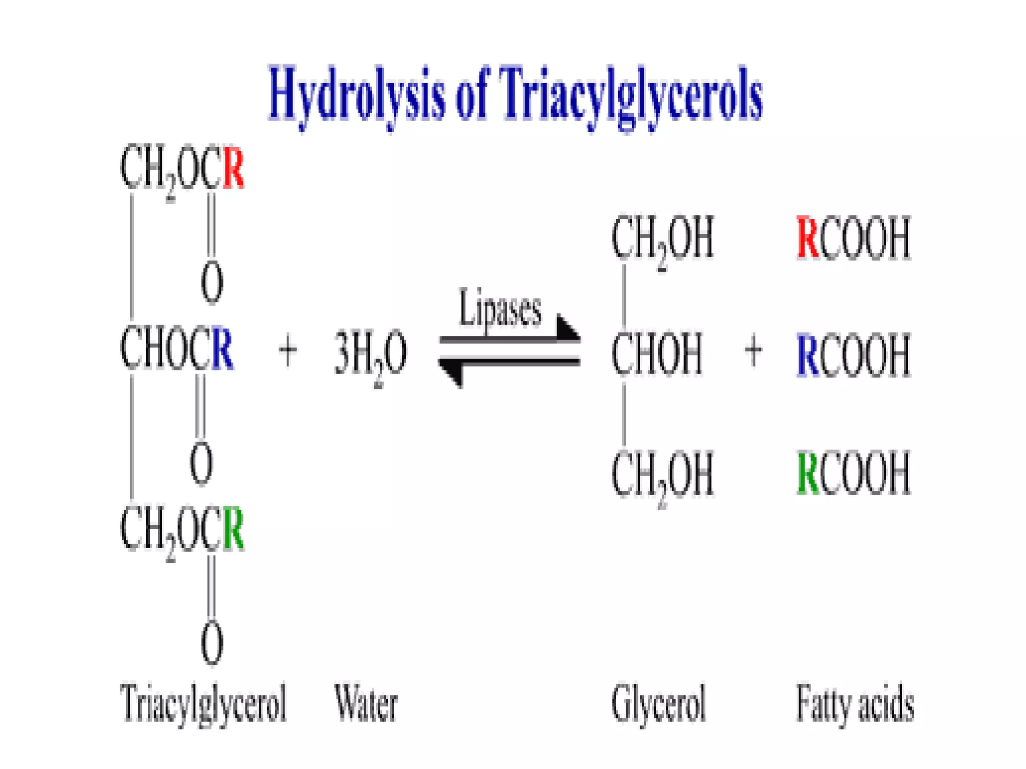 Biosintesis lipid | PPTX
