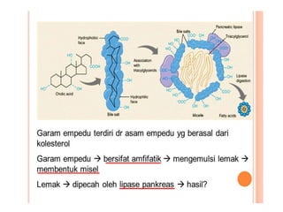 Biosintesis lipid | PPTX