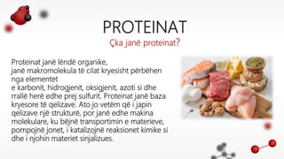 Biosinteza e ac.nukleike dhe proteinave | PPTX