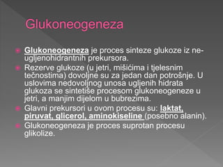 Biosinteza ugljenih hidrata | PPT