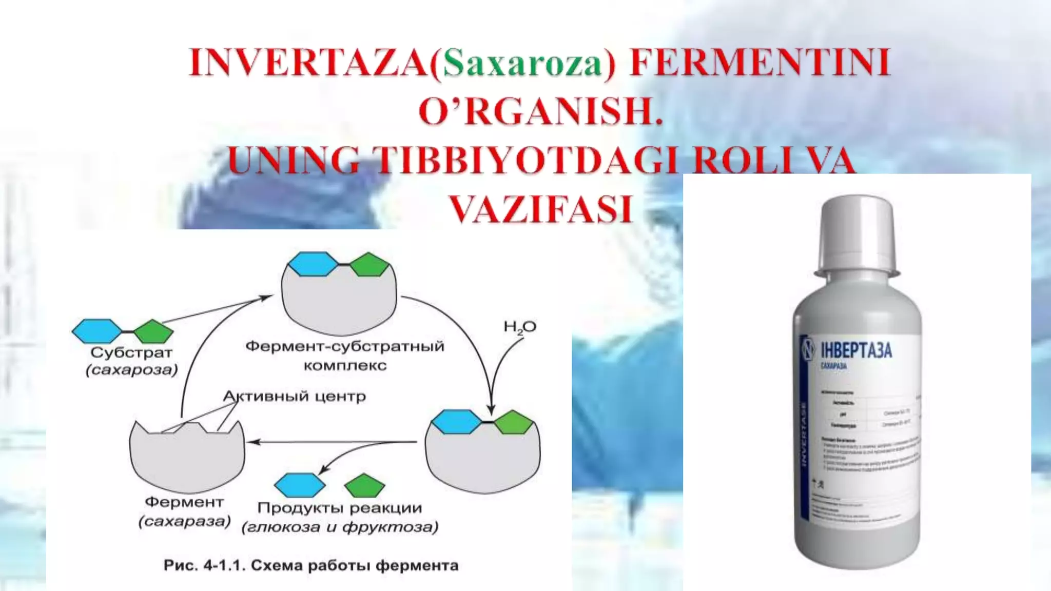 Biosintez invertaza(saxaroza).pptx