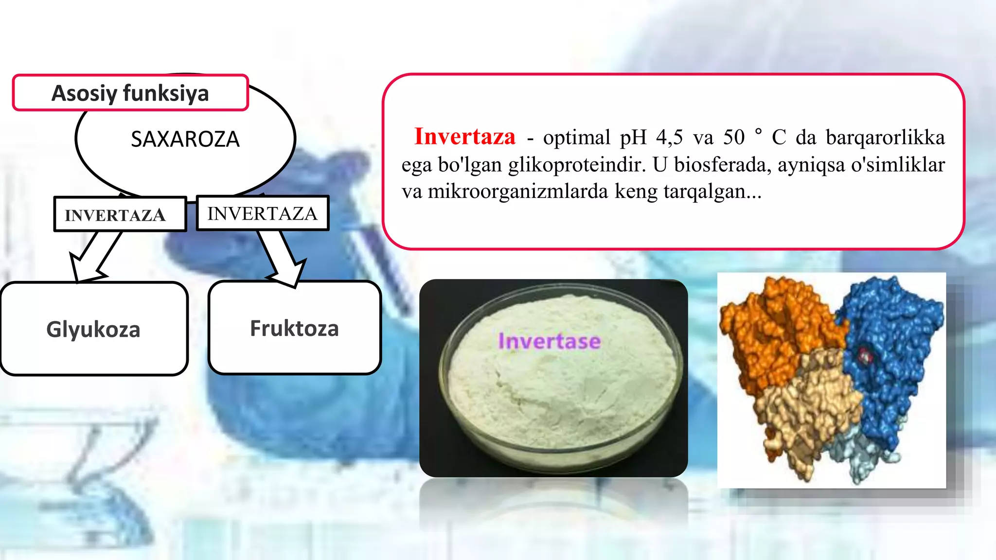 Biosintez invertaza(saxaroza).pptx