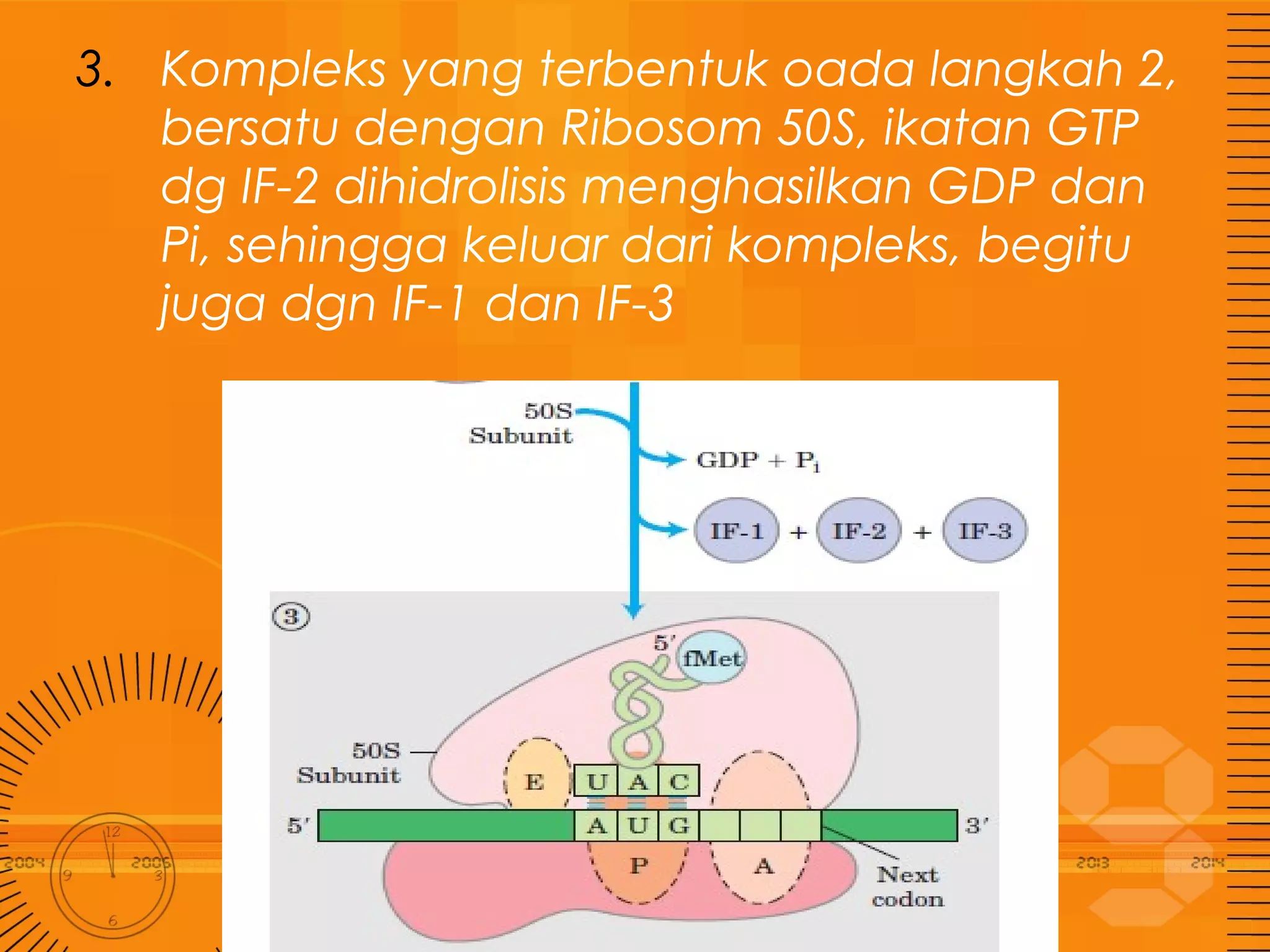 Biosintesis Protein | PPT