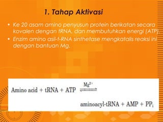 Biosintesis Protein | PPT
