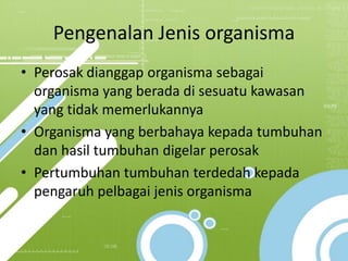 Biosis | PPTX