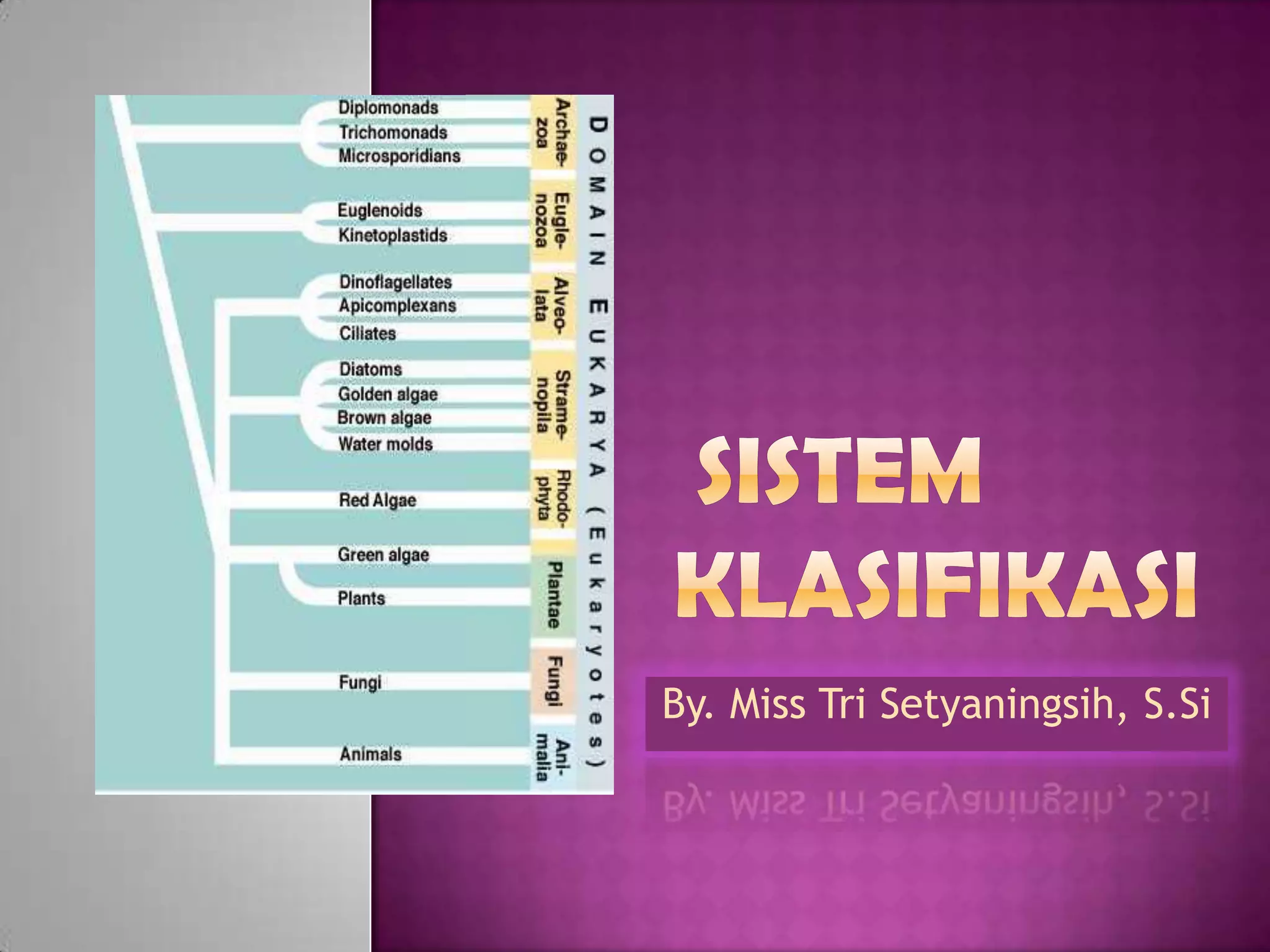 Bio sistem klasifikasi mh | PPTX