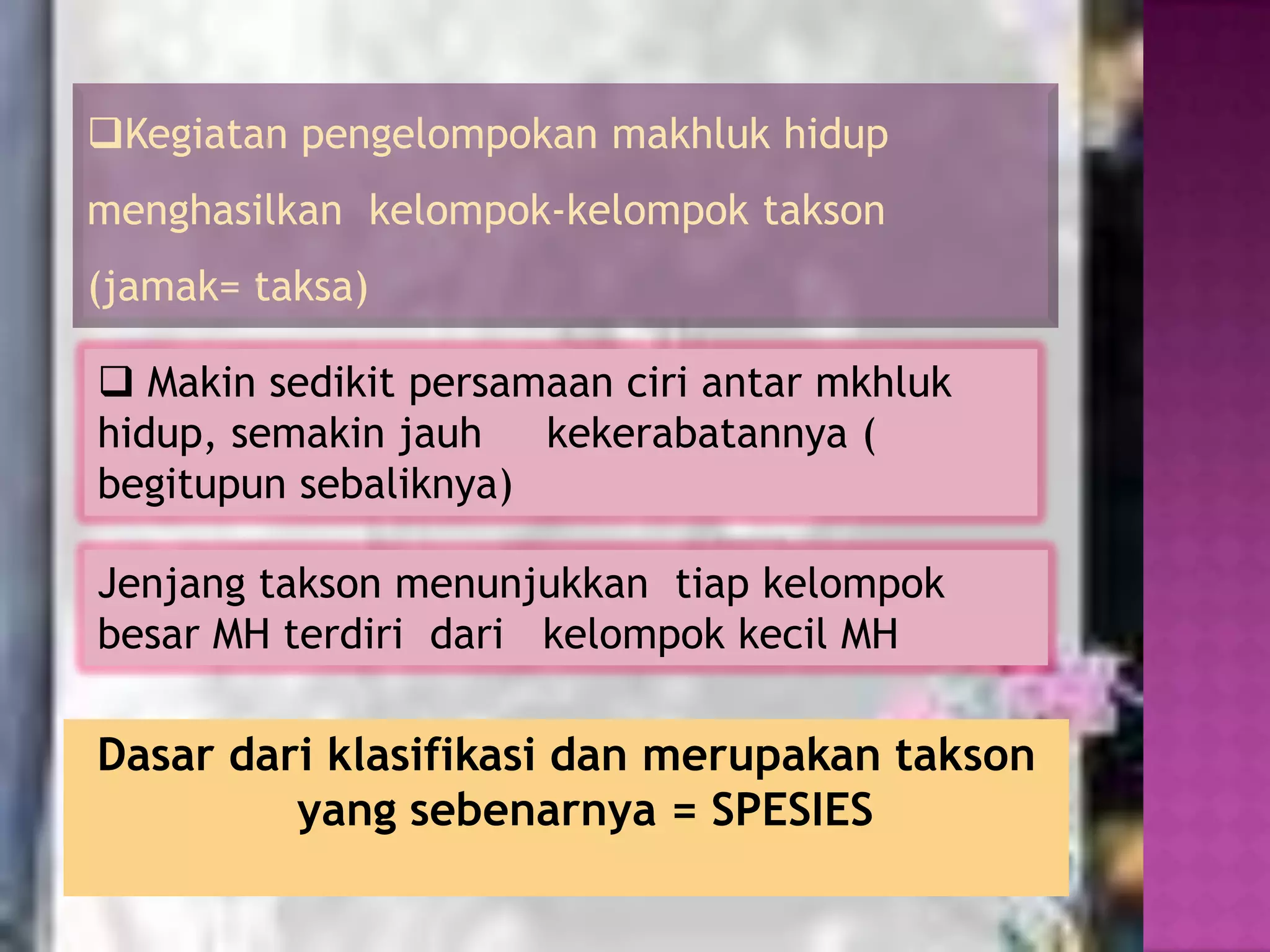 Bio sistem klasifikasi mh | PPTX