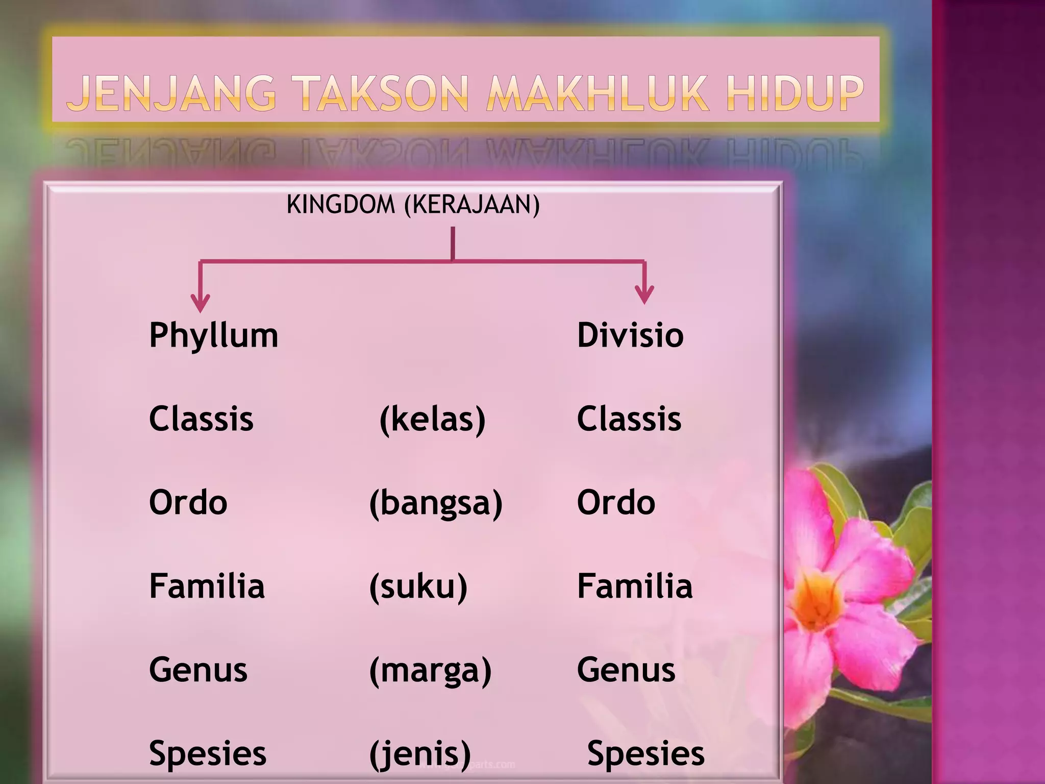 Bio sistem klasifikasi mh | PPTX