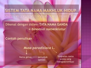 Bio sistem klasifikasi mh | PPTX