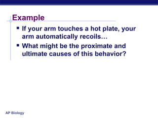 animals behavior | PPT