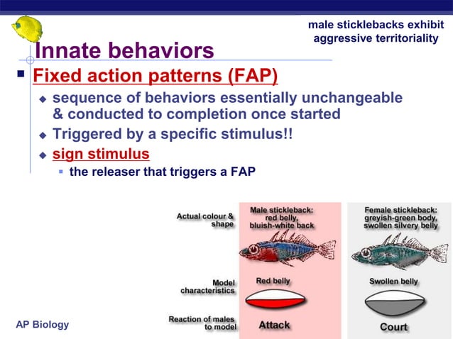 animals behavior | PPT