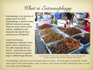 Entomophagy | PPT
