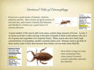 Entomophagy | PPT