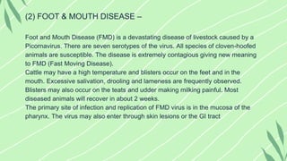 Bio ppt by aryan bansal | PPT