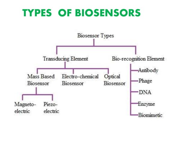 Biosensors | PPT