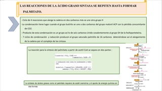 Biosíntesis de Lípidos (1).. (1).pptx