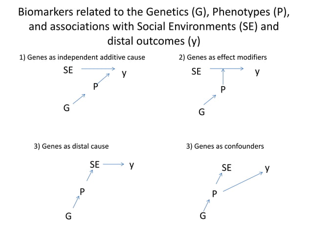 Biosocial research framework | PPTX | Science