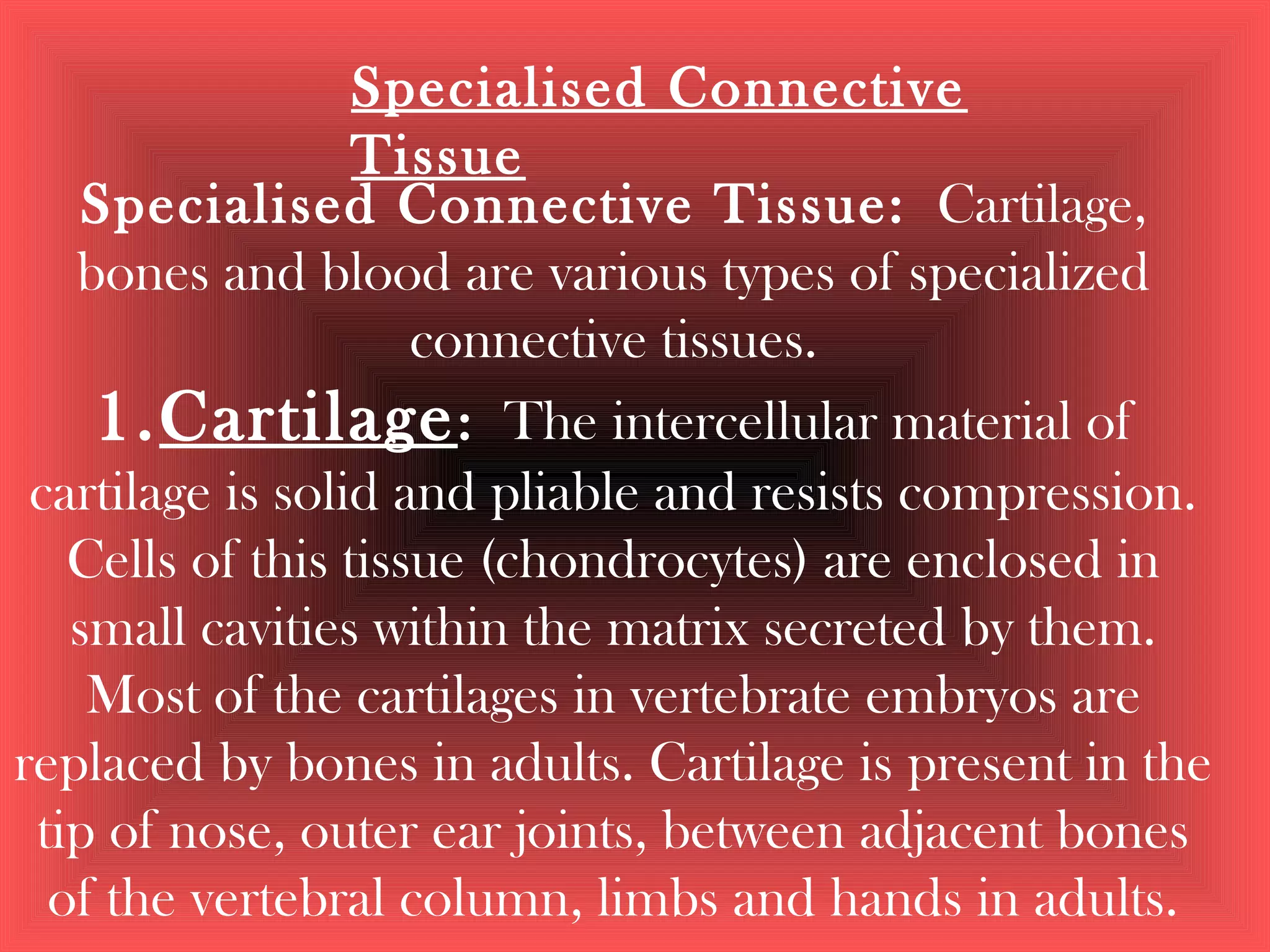 Structural Organisation In Animals- connective Tissue | PPT