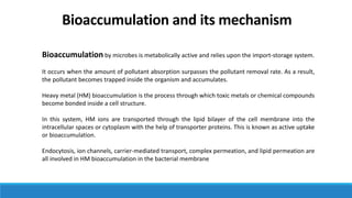 Biosorption and Bioaccumulation ppt.pptx