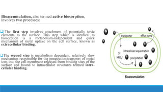 Biosorption and Bioaccumulation ppt.pptx