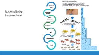 Biosorption and Bioaccumulation ppt.pptx