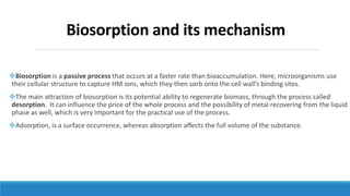 Biosorption and Bioaccumulation ppt.pptx