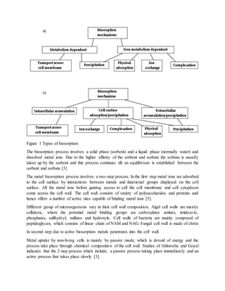 Biosorption of heavy metals | DOCX | Science