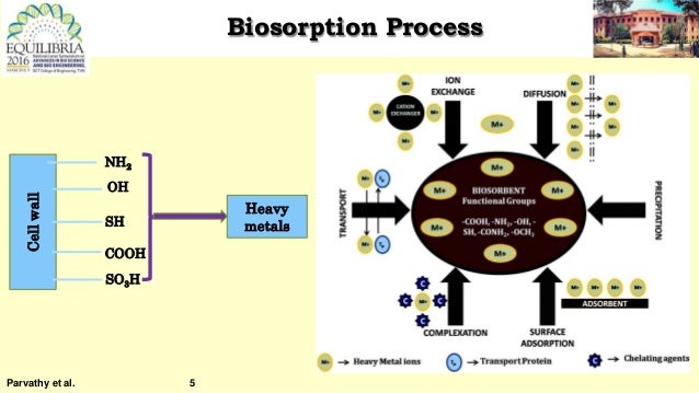 Biosorption of heavy metals