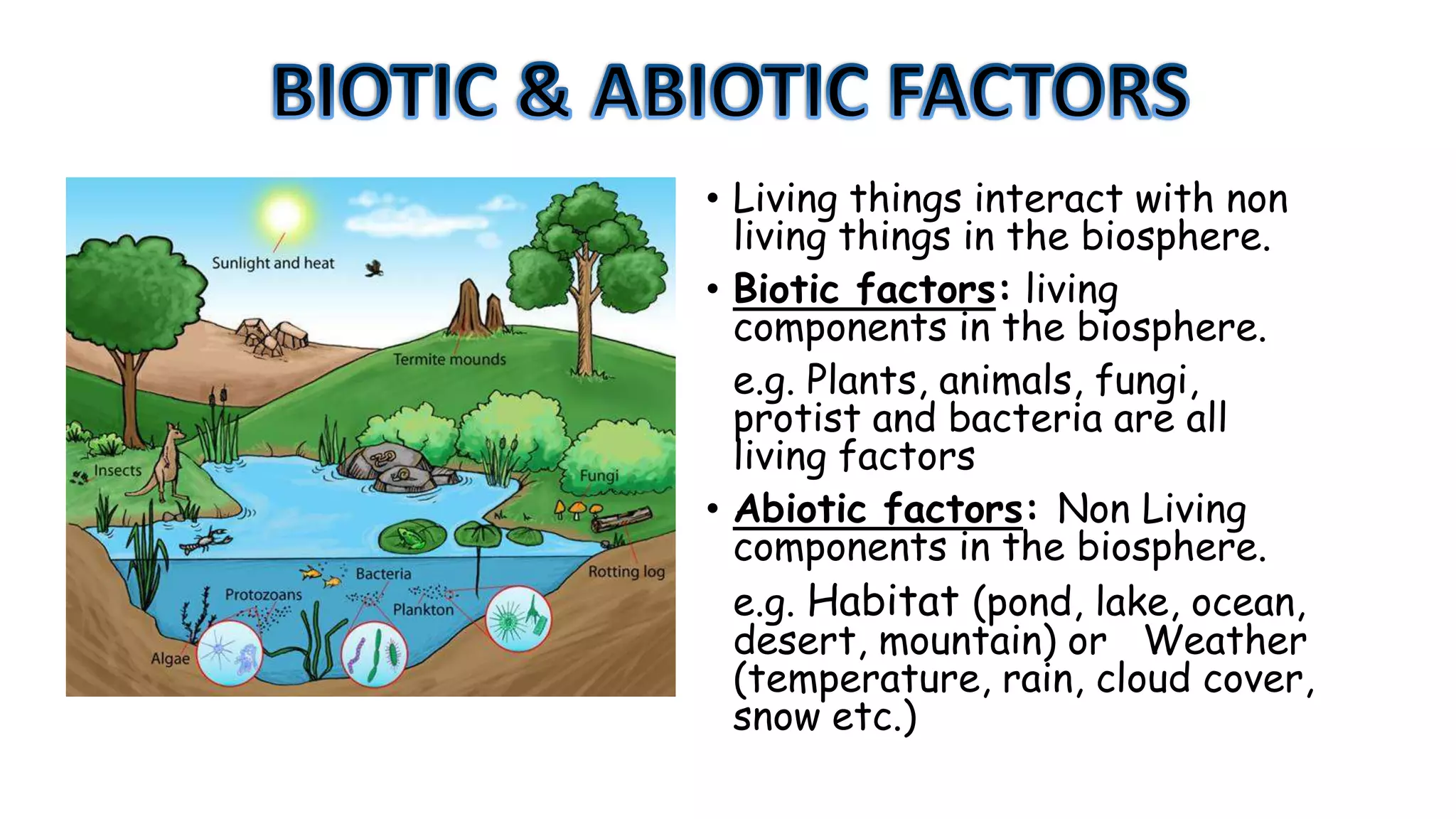 The Biosphere and Humans | PPT