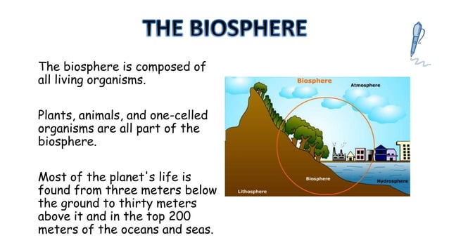 The Biosphere and Humans | PPT