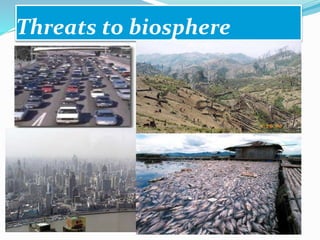 Biosphere | PPTX | Weather | Science