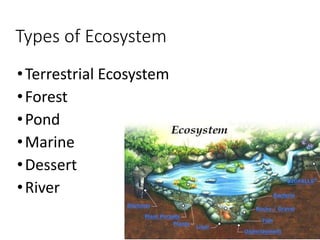 Biosphere | PPT