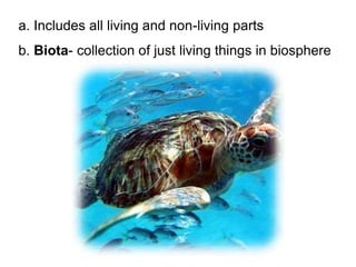 Biosphere | PPTX