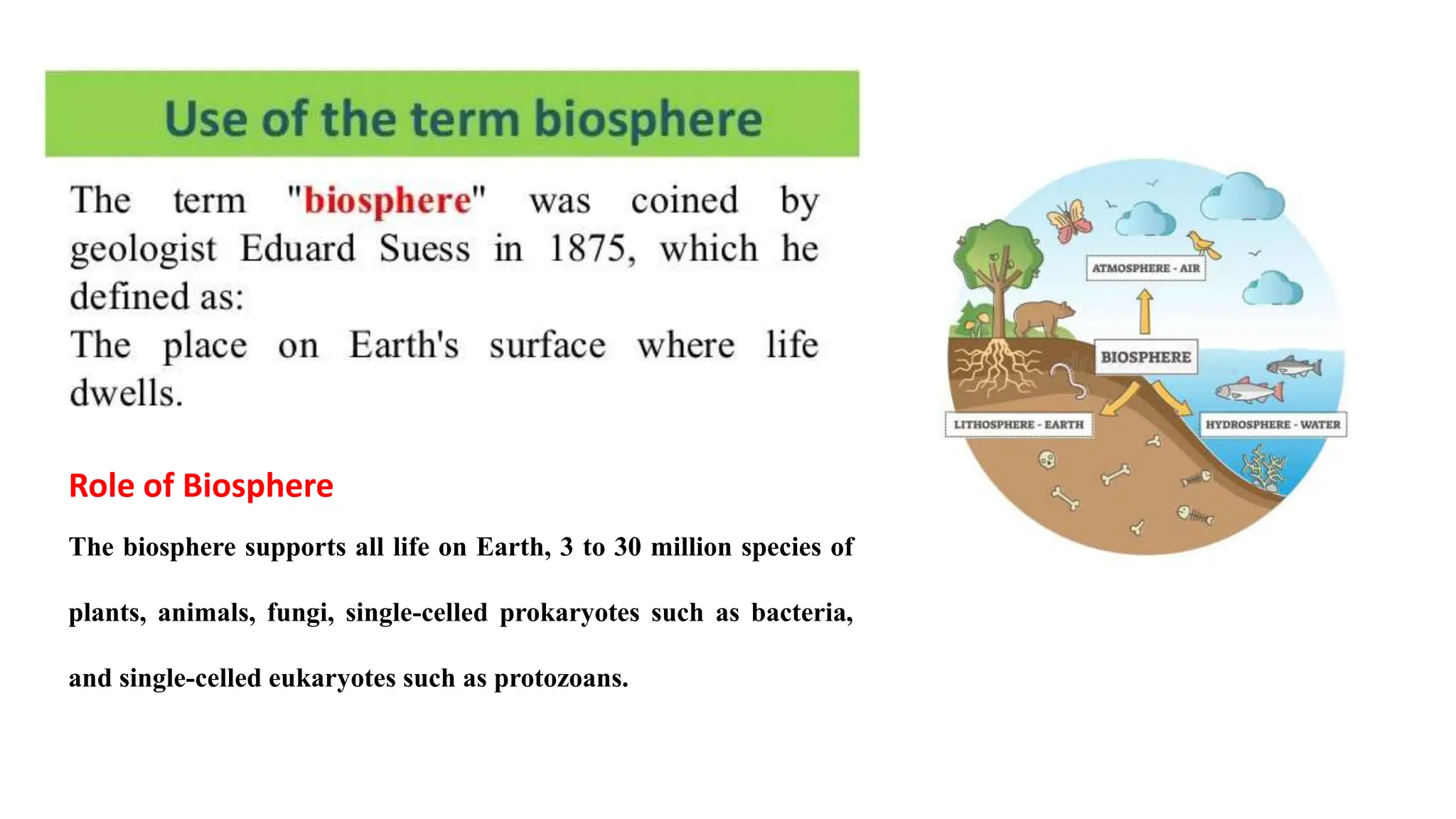 BIOSPHERE.pptx