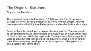 BIOSPHERE FOR EDUCATION................. | PPT