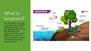 The Origin of Biosphere in Universe 1816 | PPTX