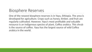The Origin of Biosphere in Universe 1816 | PPTX