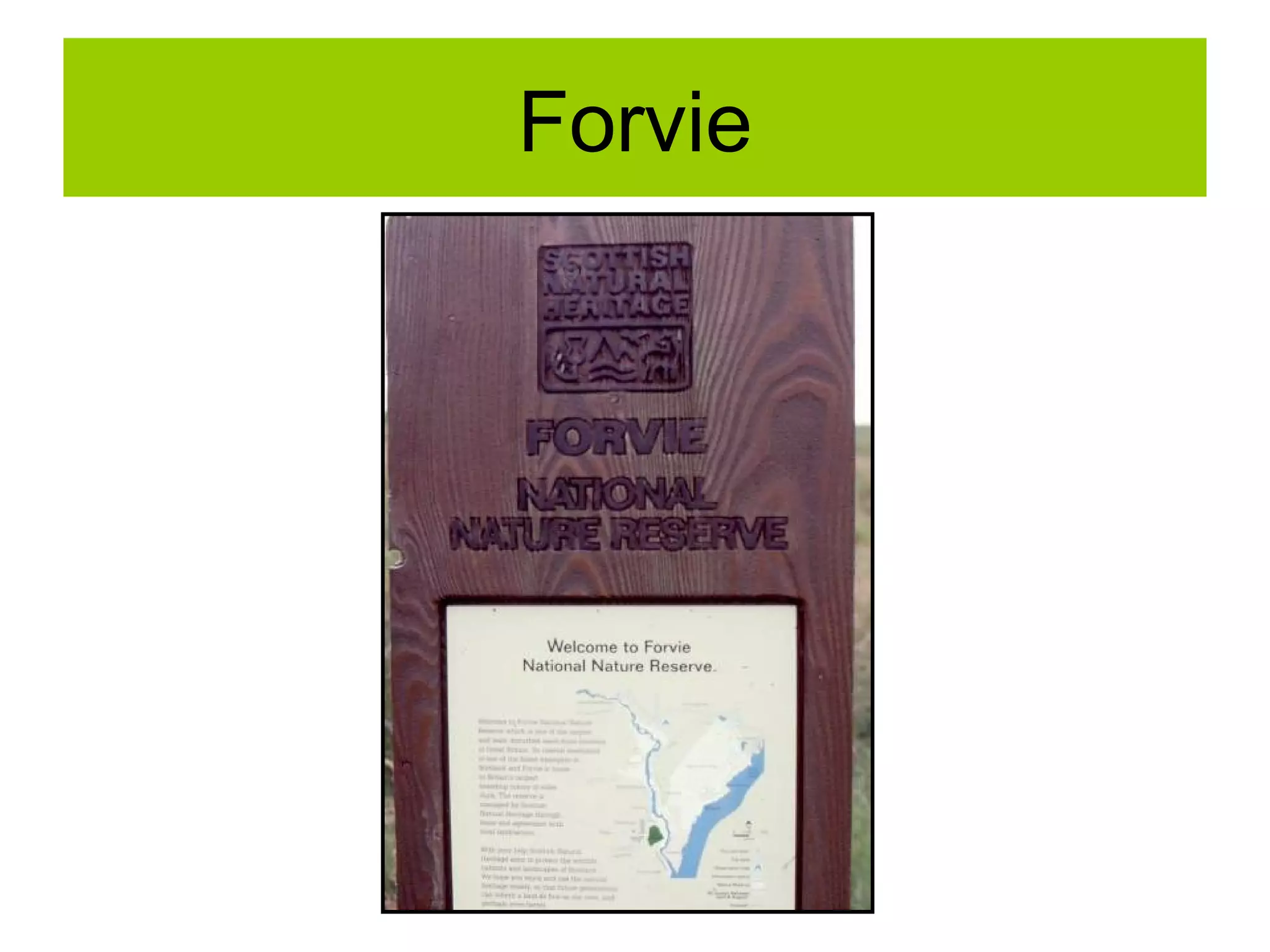 Biosphere : Sand Dune Succession | PPT | Landscaping | Home & Garden