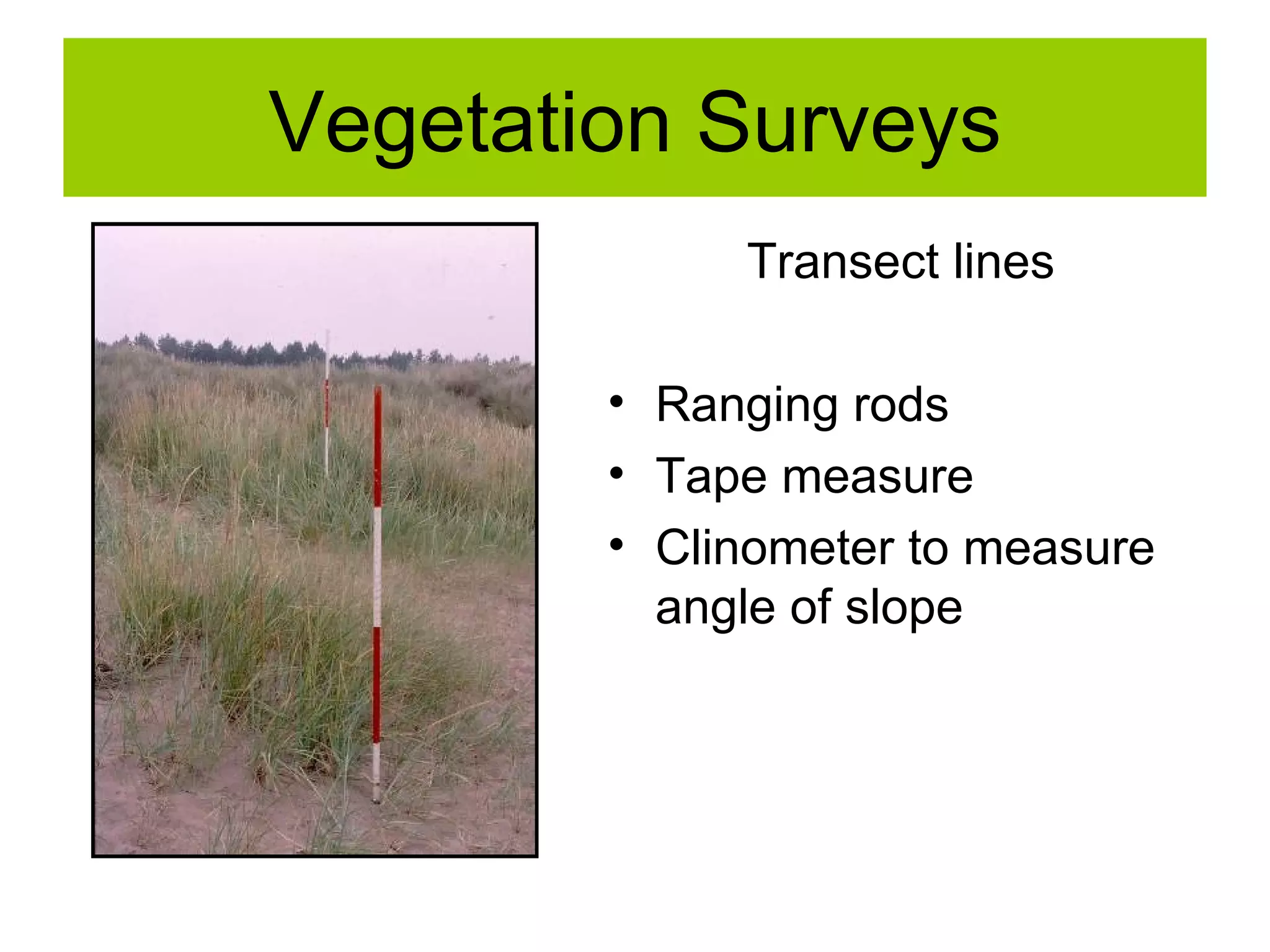Biosphere : Sand Dune Succession | PPT | Landscaping | Home & Garden