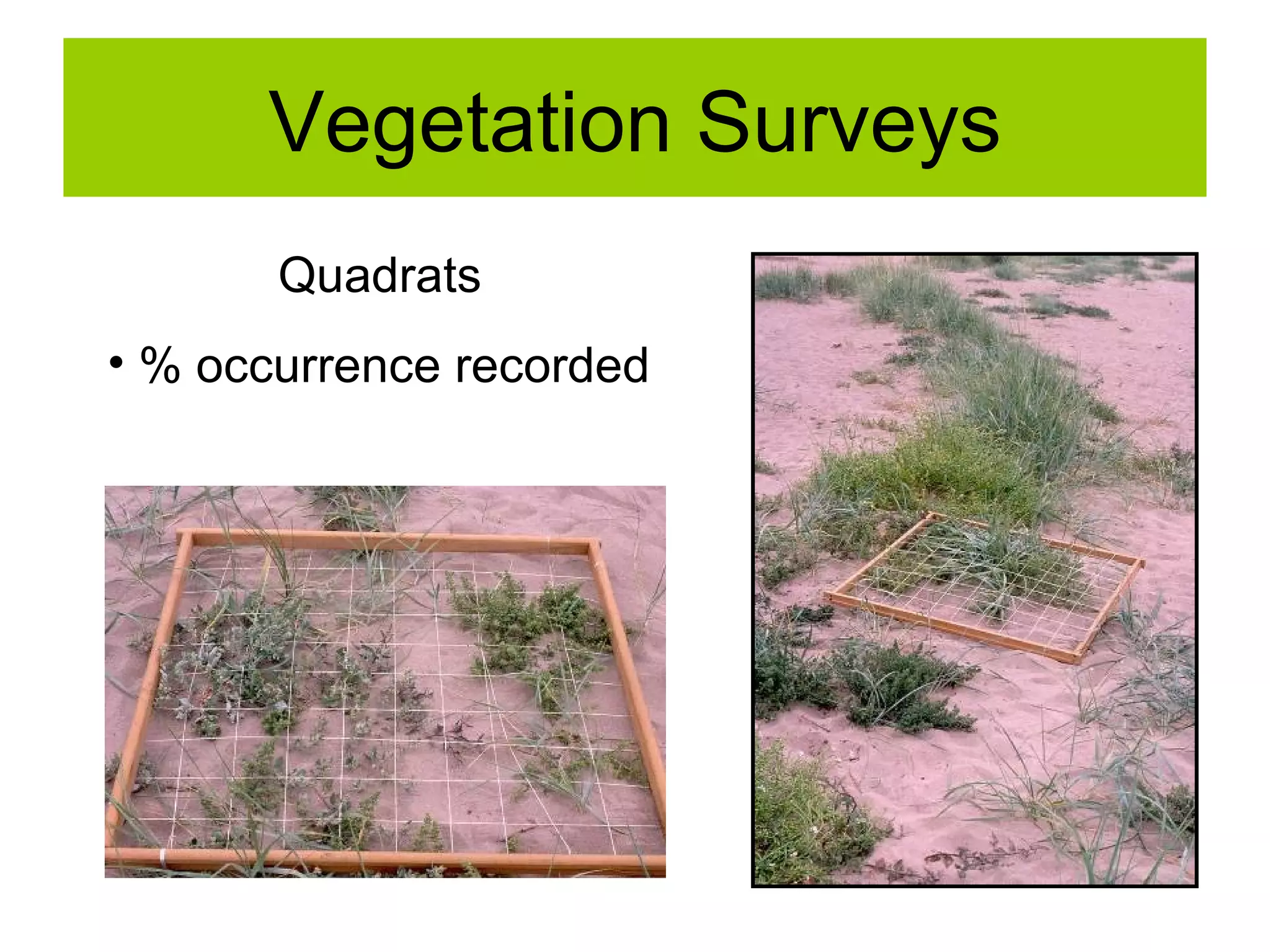 Biosphere : Sand Dune Succession | PPT | Landscaping | Home & Garden