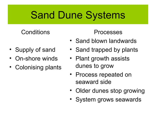 Biosphere : Sand Dune Succession | PPT | Landscaping | Home & Garden